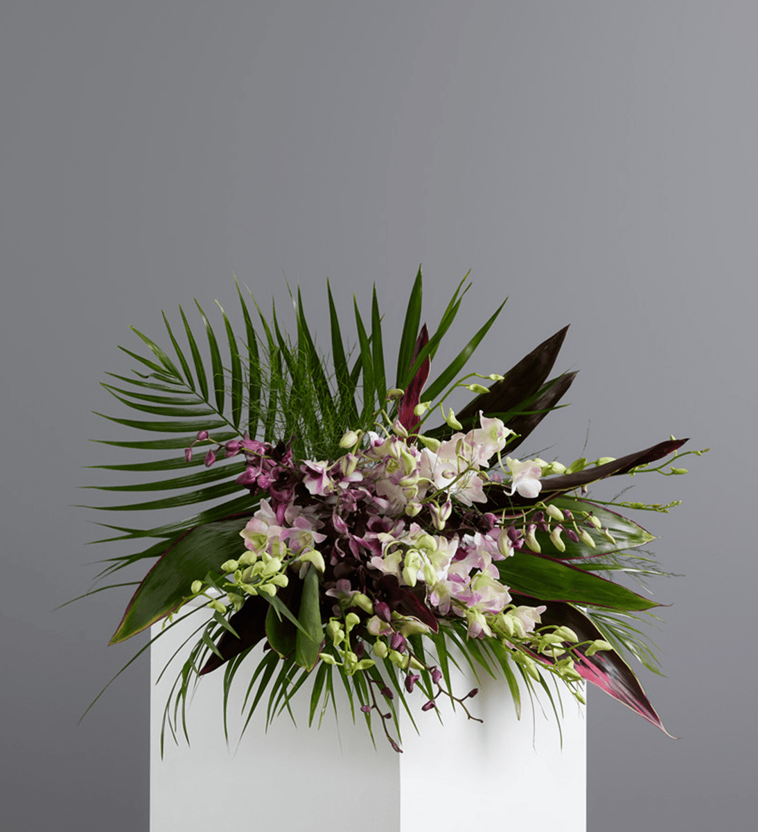 Orchids – Balashi Flowers & Nursery